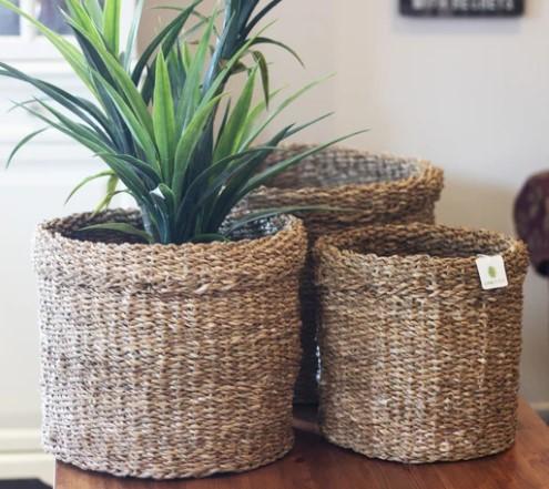 Seagrass Round Folded Rim Cylinders Set 3 – Dig Emporium